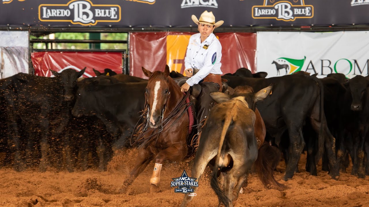Super Stakes Laredo Blue ANCA 2020 - Reservada Campeã Non Pro - YouTube