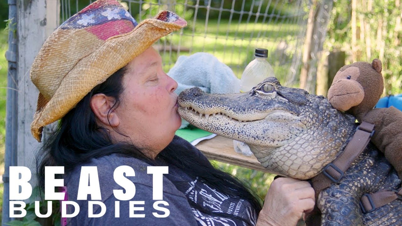 I Share My House With A 6ft Gator | BEAST BUDDIES - YouTube
