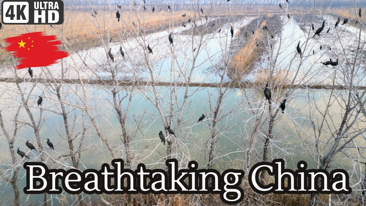 Ambient China 4k Drone - Yangtze River Wetlands with Calming Music ...