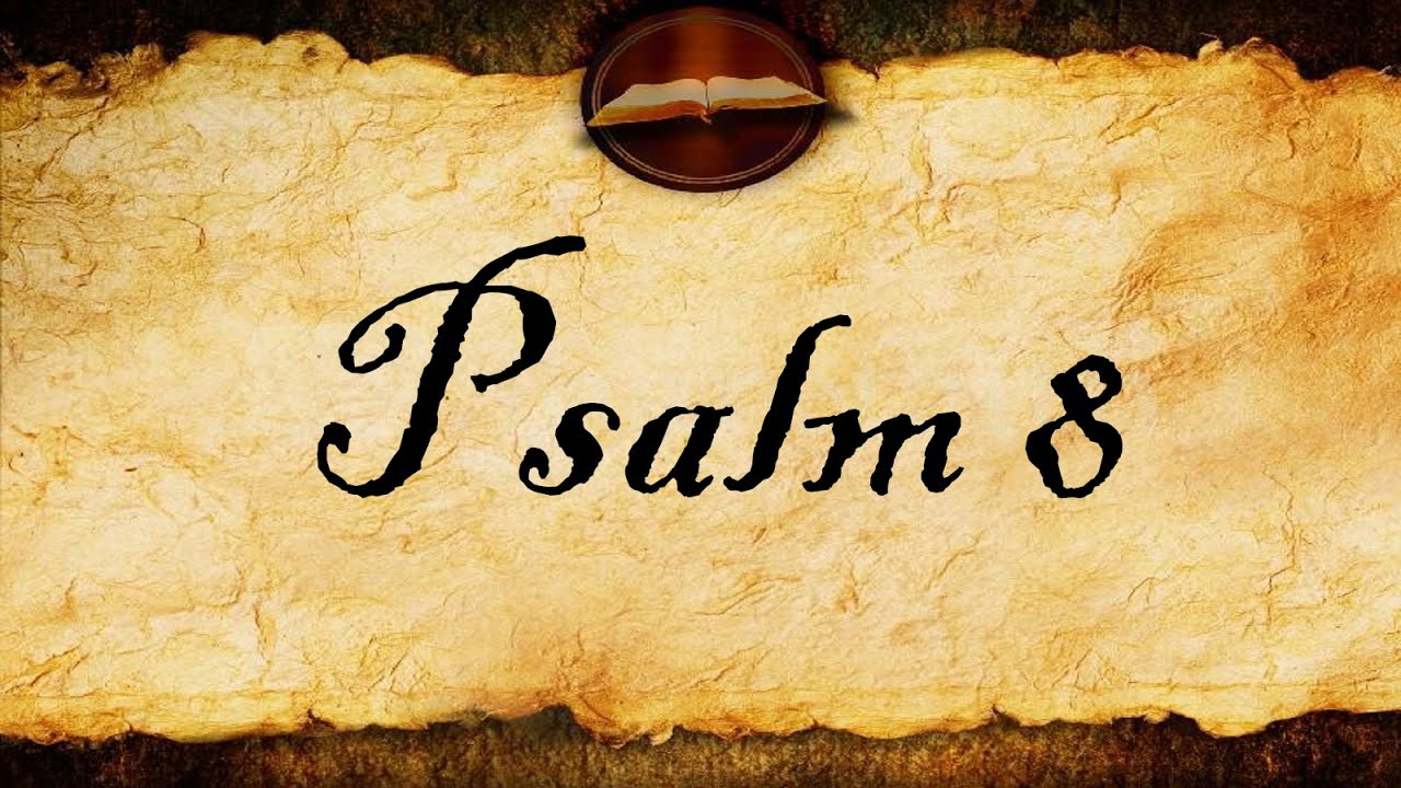 Psalm 8 KJV Audio With Text YouTube Psalm 8 KJV Audio With Text YouTube