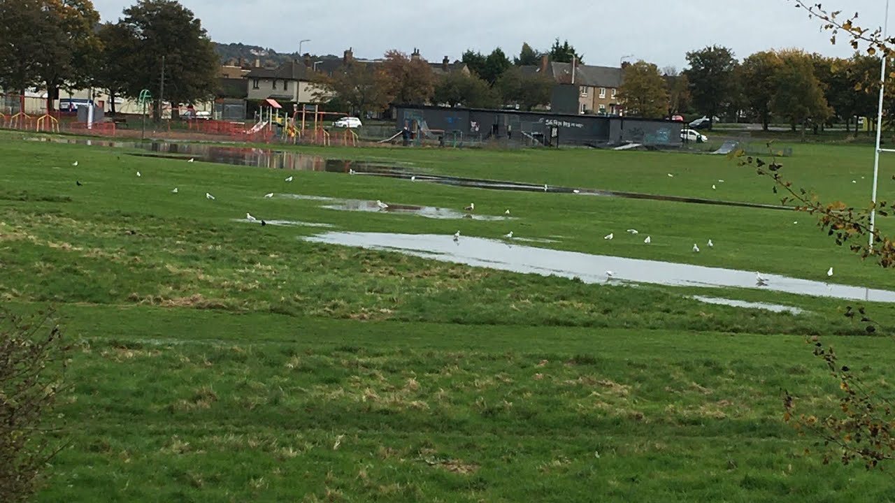 Dunkee #6 funny moments - YouTube