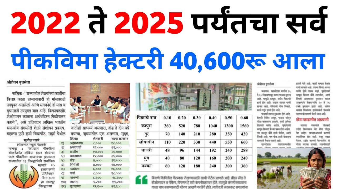 पीक विमा 2024| ते 2025 वाटप | Pik vima yojana new update today's | पिक ...