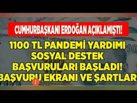 PANDEMİ 1100TL SOSYAL YARDIM YATMAYA BAŞLADI.CUMHURBASKANI AÇIKLADI 1100TL YARDIM BAŞVURUSU NASIL ⭐
