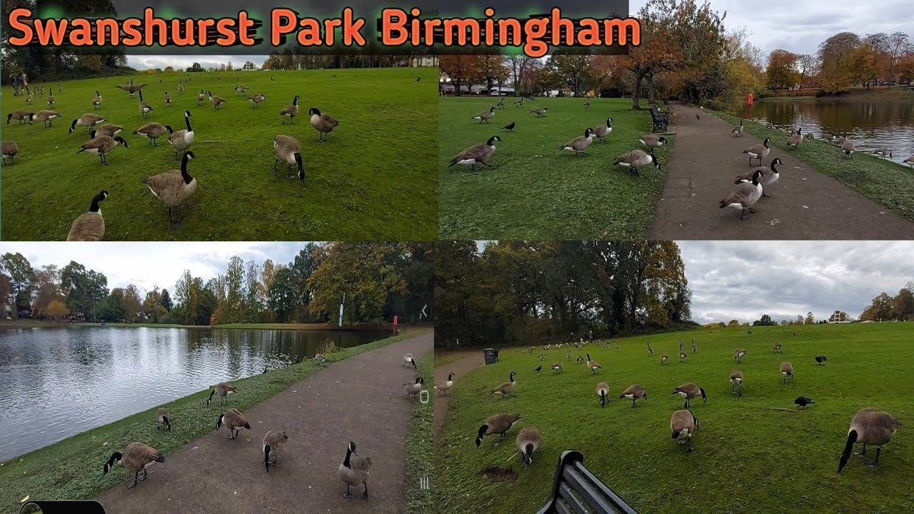Beautiful view of Swanshurst Park in Billesley Birmingham | Walking ...