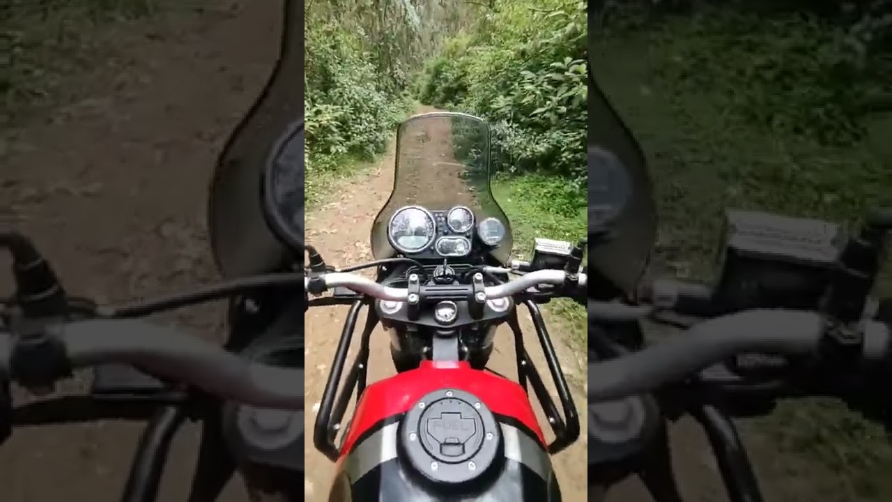 life with himalayan @The Nilgiris Beyond 43 - YouTube