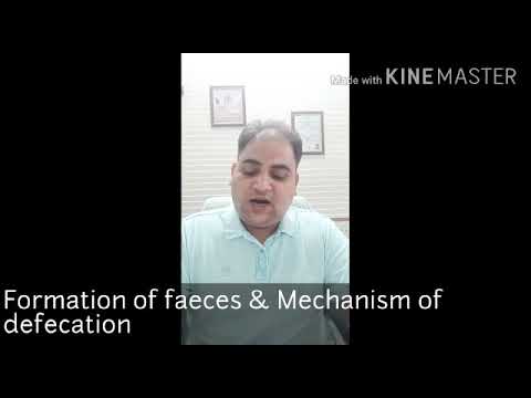 Formation of faeces & Mechanism of defecation - YouTube