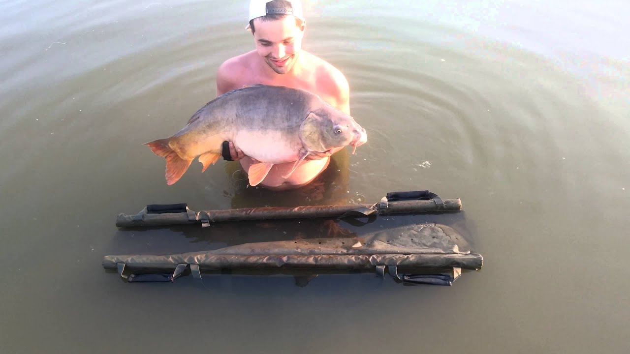 Captura crap oglinda 13,5 kg . Lacul Căprioară - YouTube