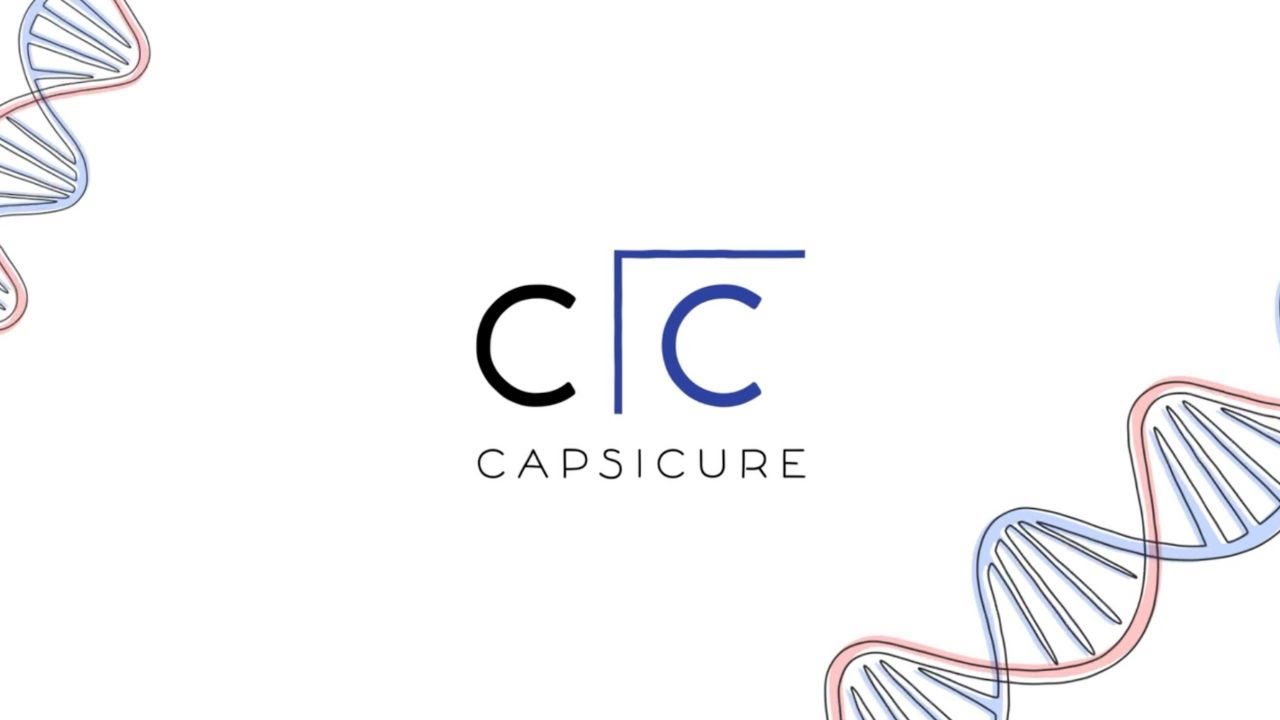 Capsicure - Direction Determines Destination - YouTube