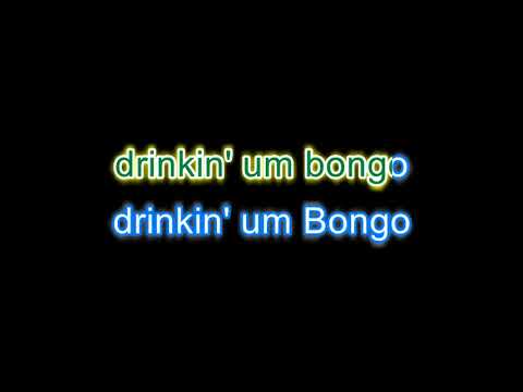 Go Kart Mozart - Drinkin' Um Bongo - YouTube