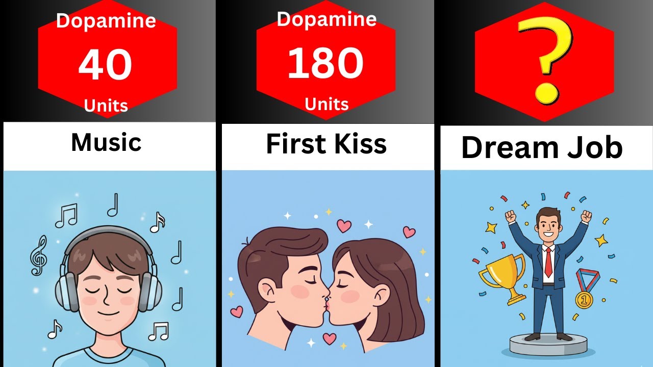 Human Most Pleasurable Things | Comparison - YouTube