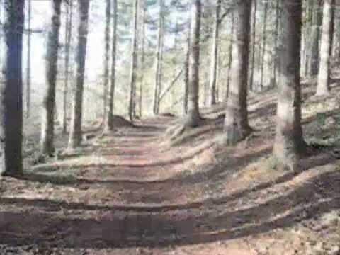MTB Forår 2009