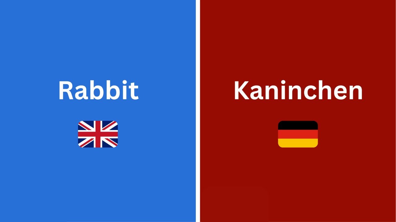 Learn Animals in English and German | Quick & Easy Language Lesson ...