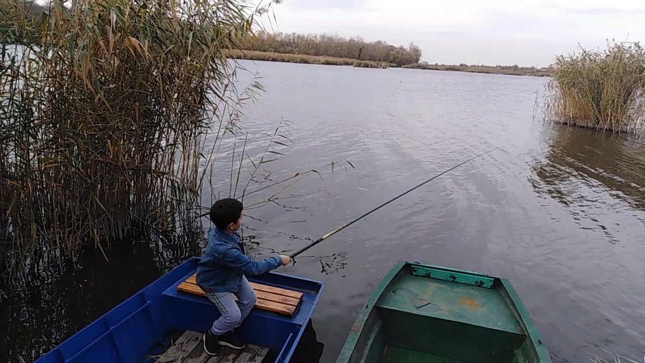 Pecanje na jezeru Kraljevac - YouTube