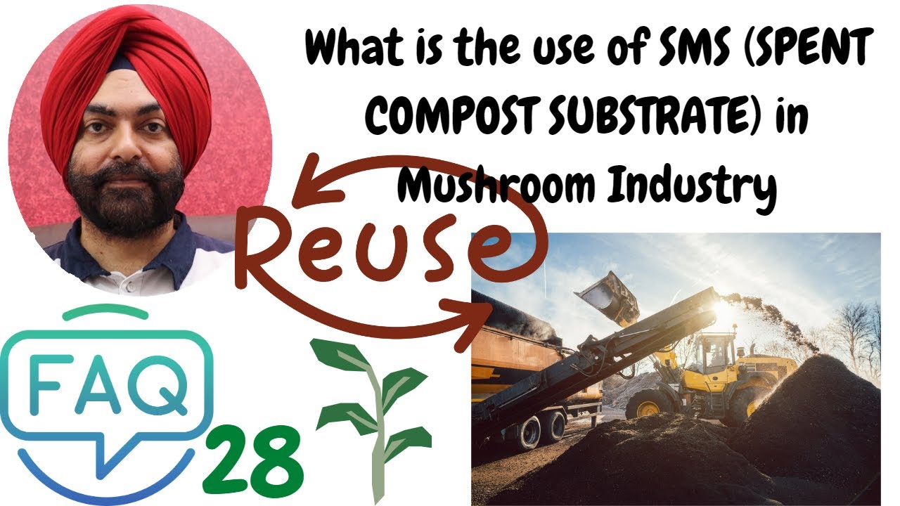 FAQ 28 # What is the use of SMS (SPENT COMPOST SUBSTRATE) in Mushroom ...