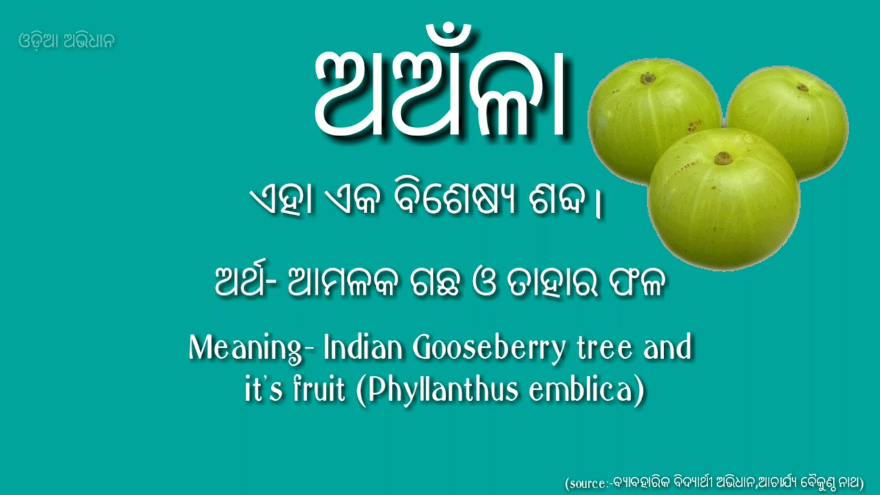 ଅଅଁଳା||Amla meaning in Odia || ଓଡ଼ିଆ ଅଭିଧାନ,Odia Dictionary - YouTube
