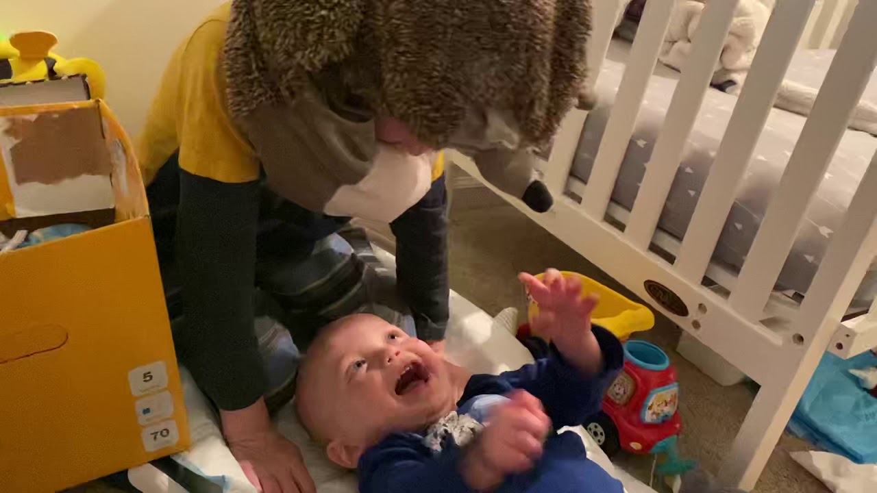 Hedgehog helps with diaper change - YouTube