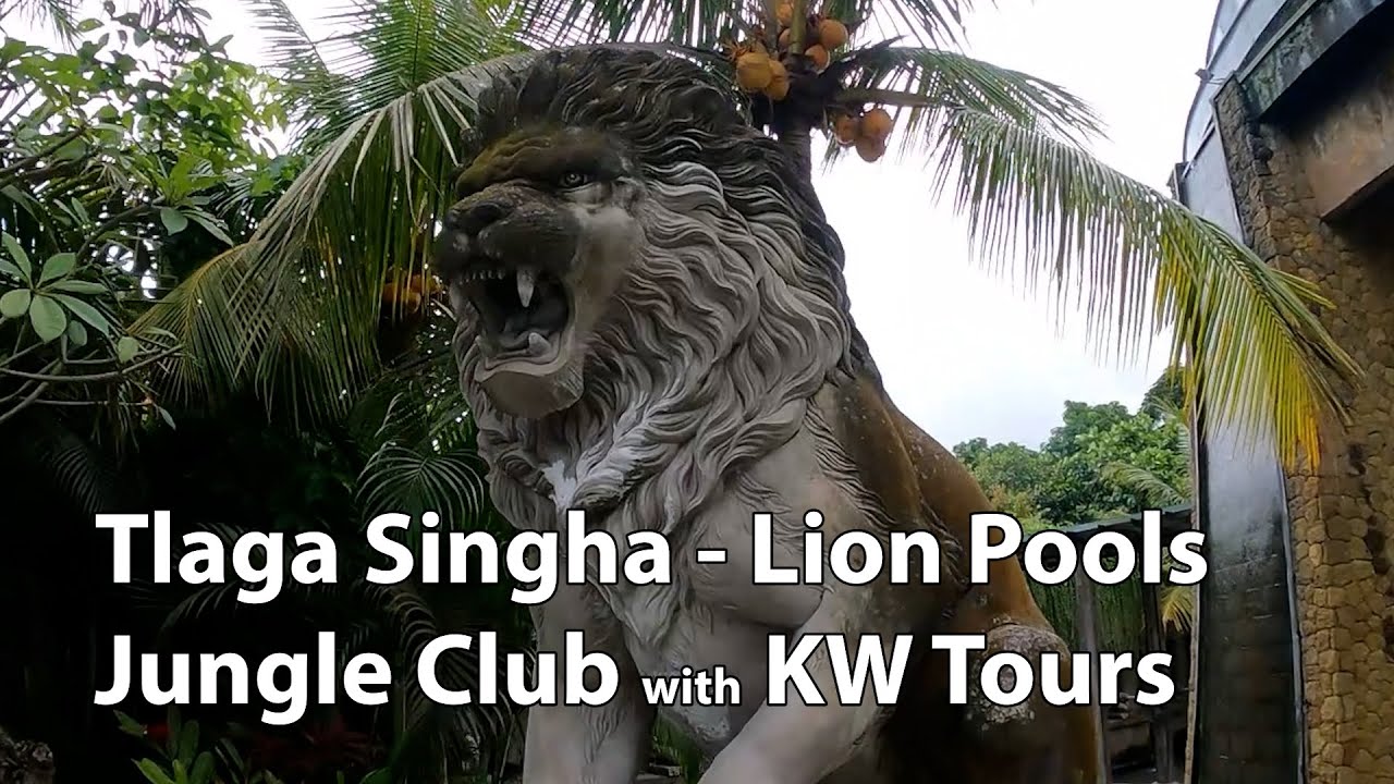 Lion Pools Jungle Bar with KW Tours - YouTube