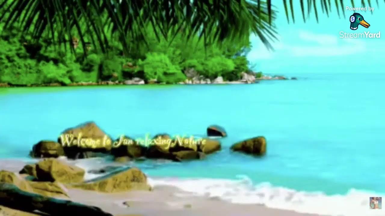 Have a relaxing monday night LS! - YouTube
