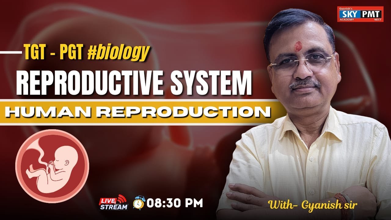 TGT PGT BIOLOGY HUMAN PHYSIOLOGYReproductive System #ltgradebiology # ...