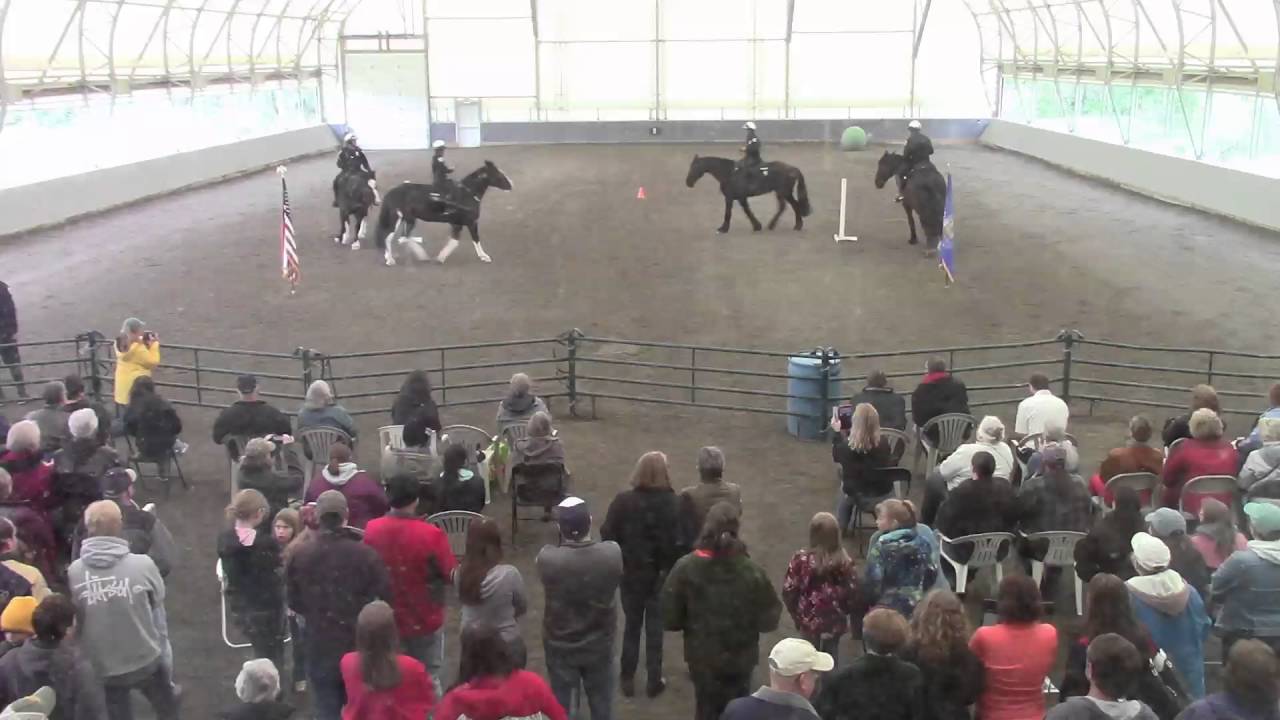 5th Annual Madison Police Mounted Patrol Open House Demo - YouTube