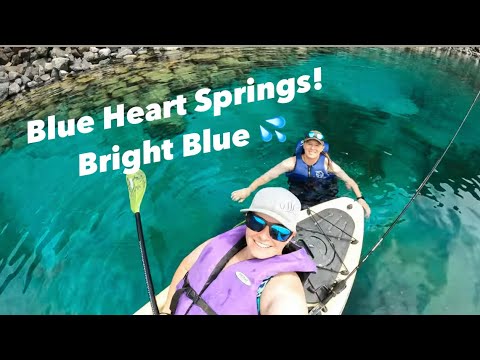 Blue Heart Springs | Idaho Destinations | Travel | Snake River Fishing ...