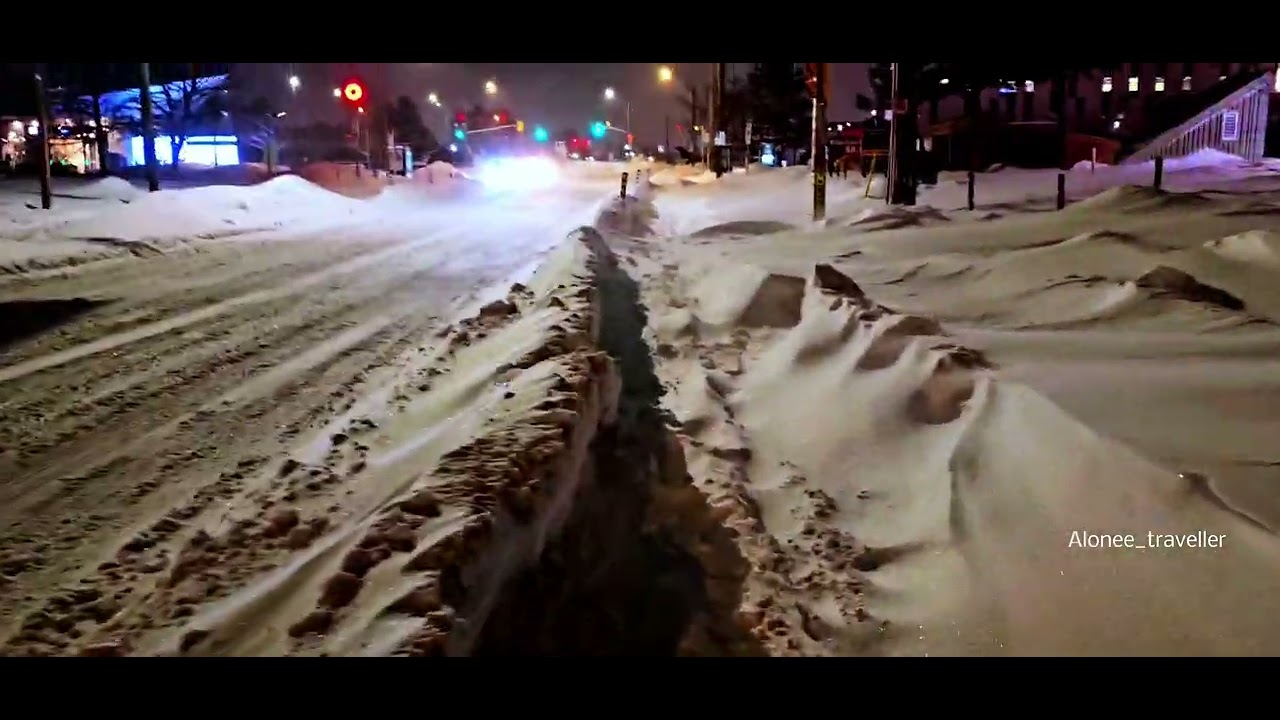Ottawa Ontario Snow Storm 2025 4K UHD | Walk in Snow Storm - YouTube