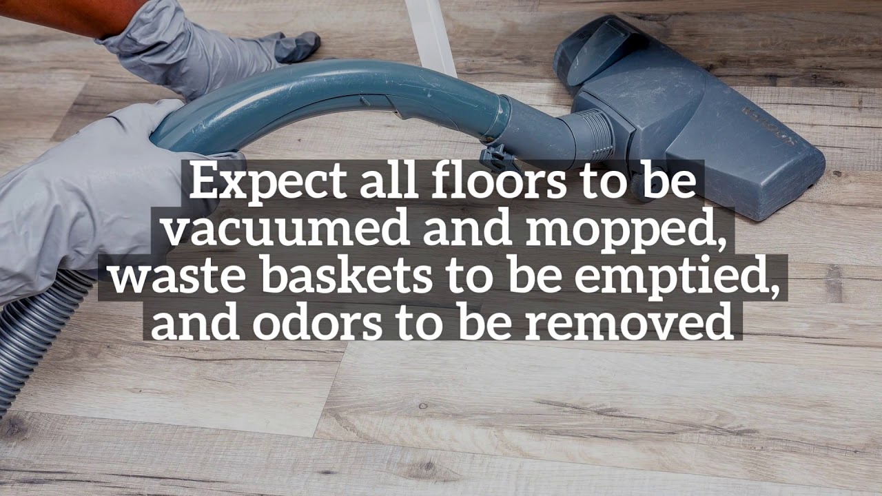 Office Cleaning Services: Give your employees a dust-free, germ-free ...