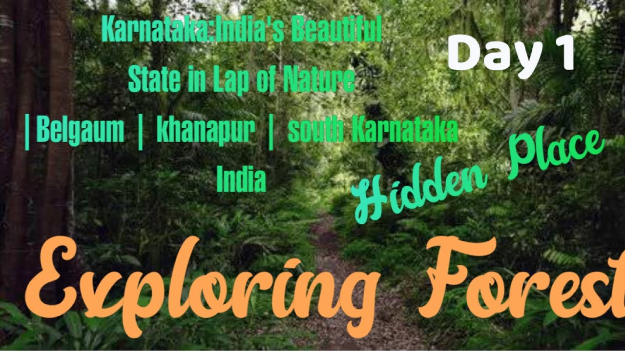 Exploring south karnataka forest 🌳 |Karnataka |Belgaum|khanapur|South ...
