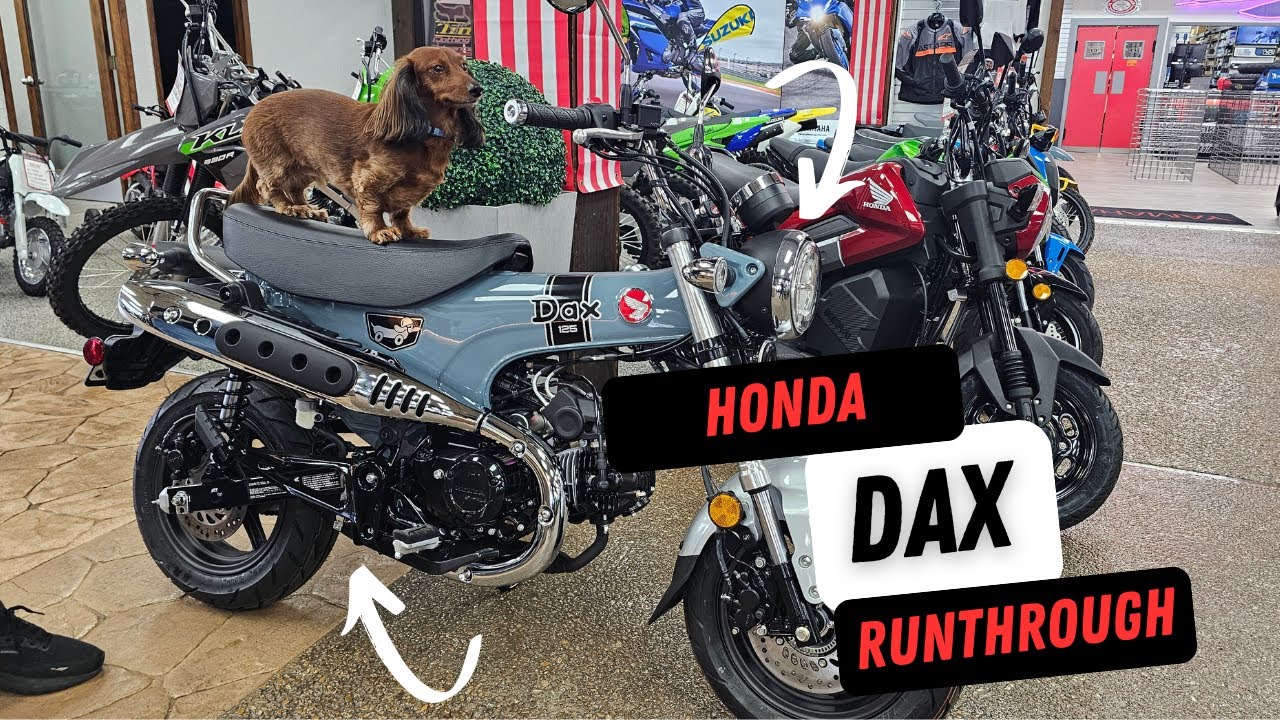 The All New Honda Dax Mini Moto Walkaround With Milo - YouTube