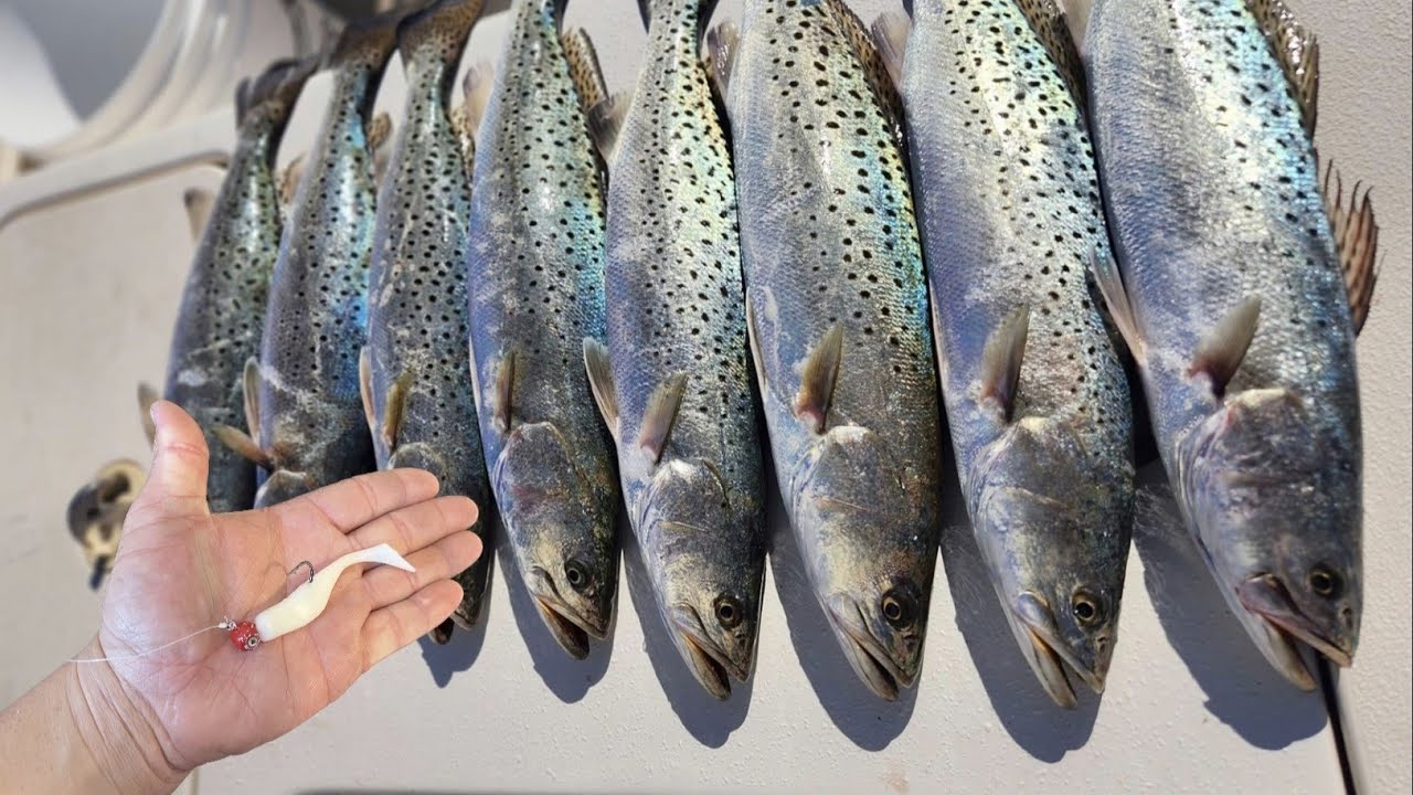 Fished these Old School Jigs: 20''+ Speckled Trout & Grey Trout ALL ...