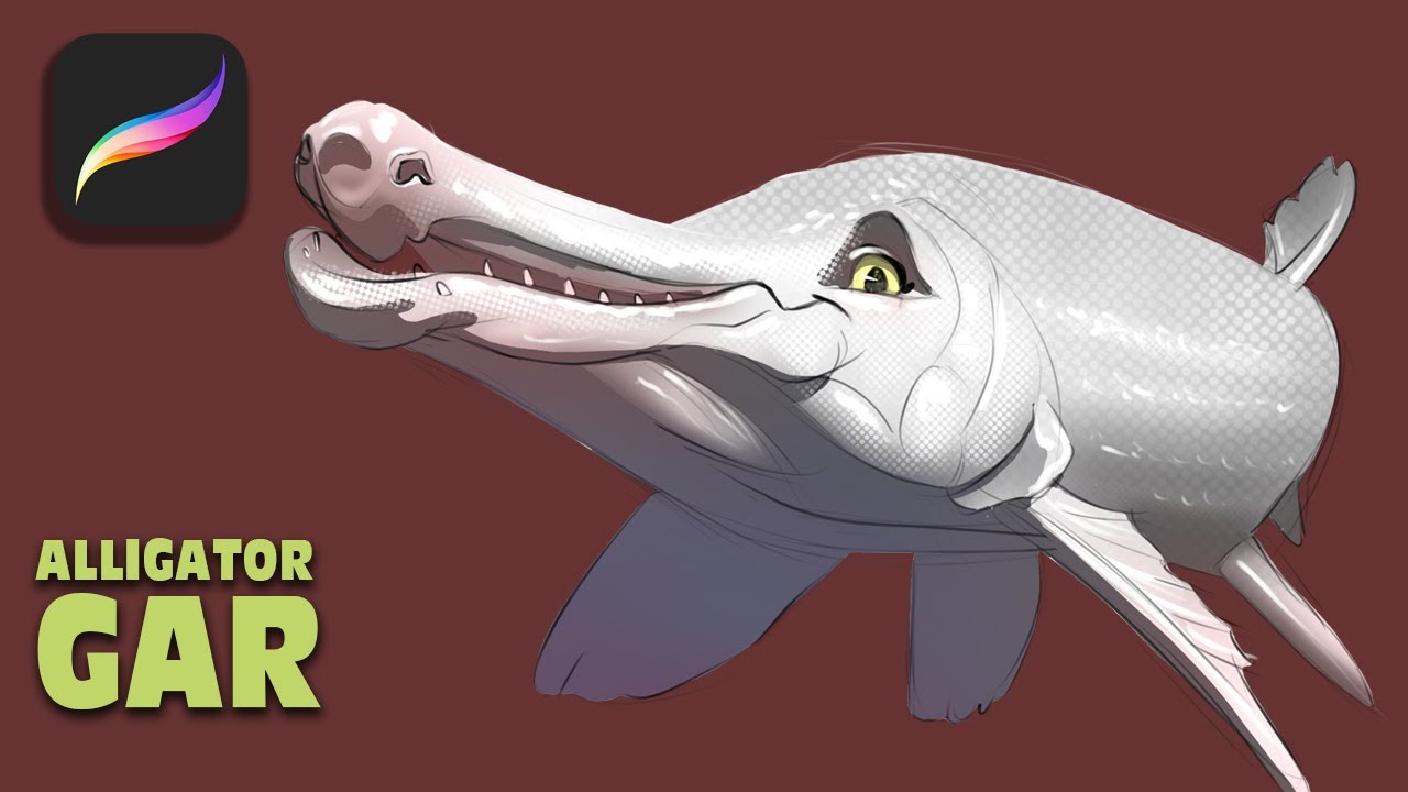 Alligator Gar Speed Paint In Procreate Ipad Pro Drawing And Arowana Fish YouTube alligator-gar-speed-paint-in-procreate-ipad-pro-drawing-and-arowana-fish-youtube