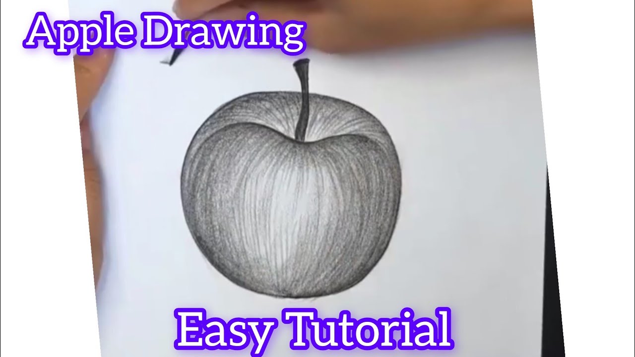 How To Draw a Apple 🍎| easy drawing | simple drawing - YouTube