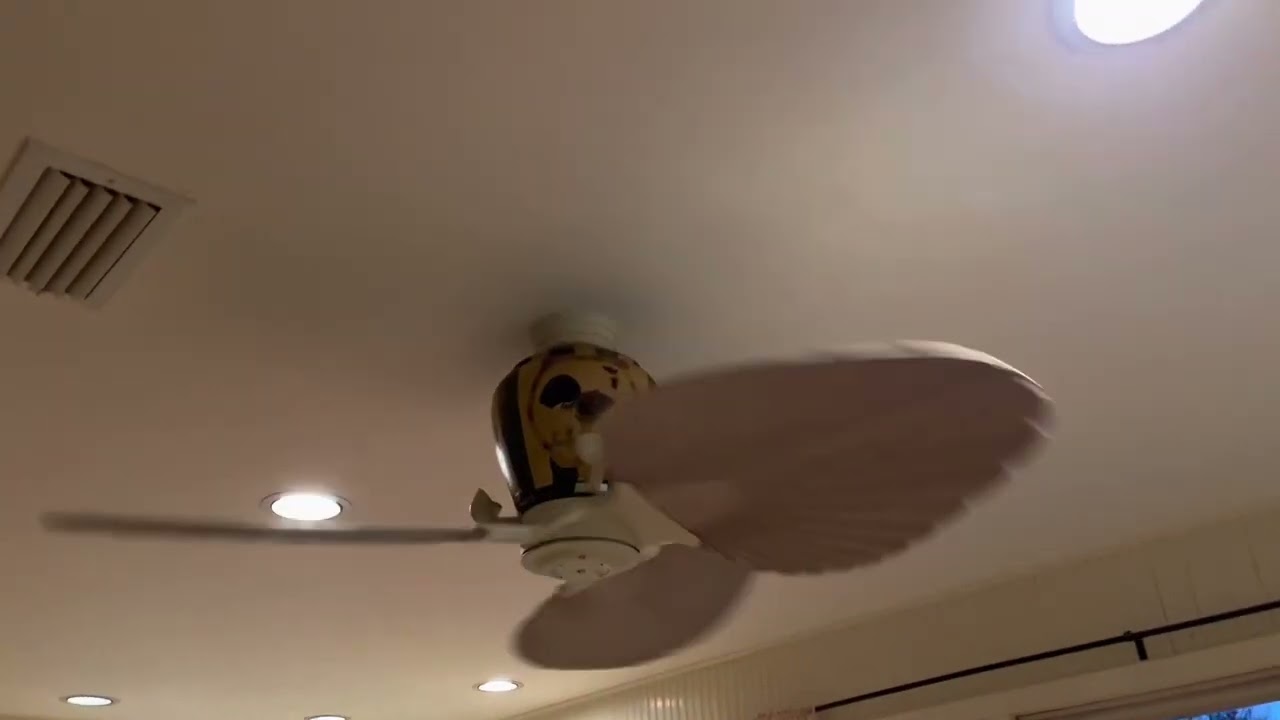 Fanimation treventi ceiling fan (flywheel fixed) - YouTube