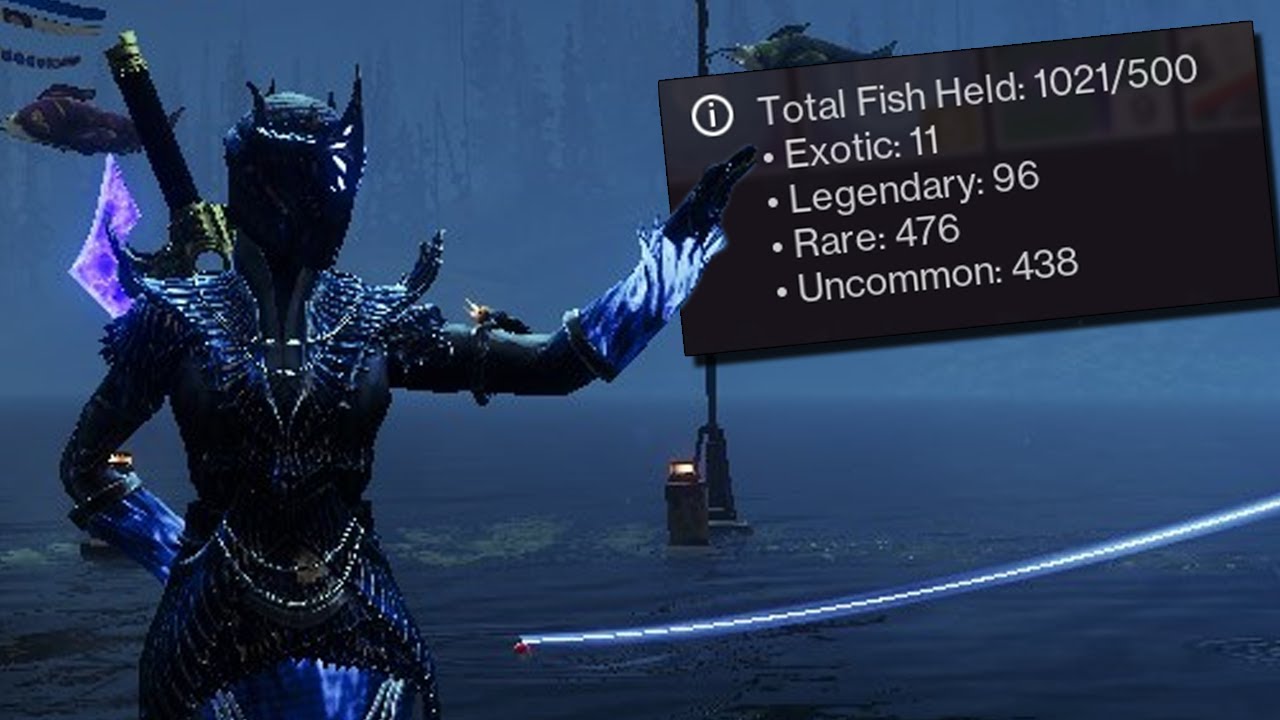 I Caught 1000+ Fish... (Here's What I Got) - YouTube