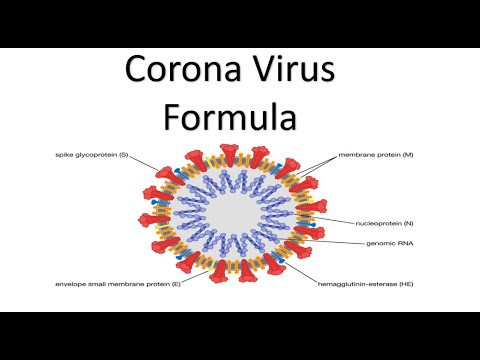 Watch This Corona Virus Formula Very Interesting - YouTube