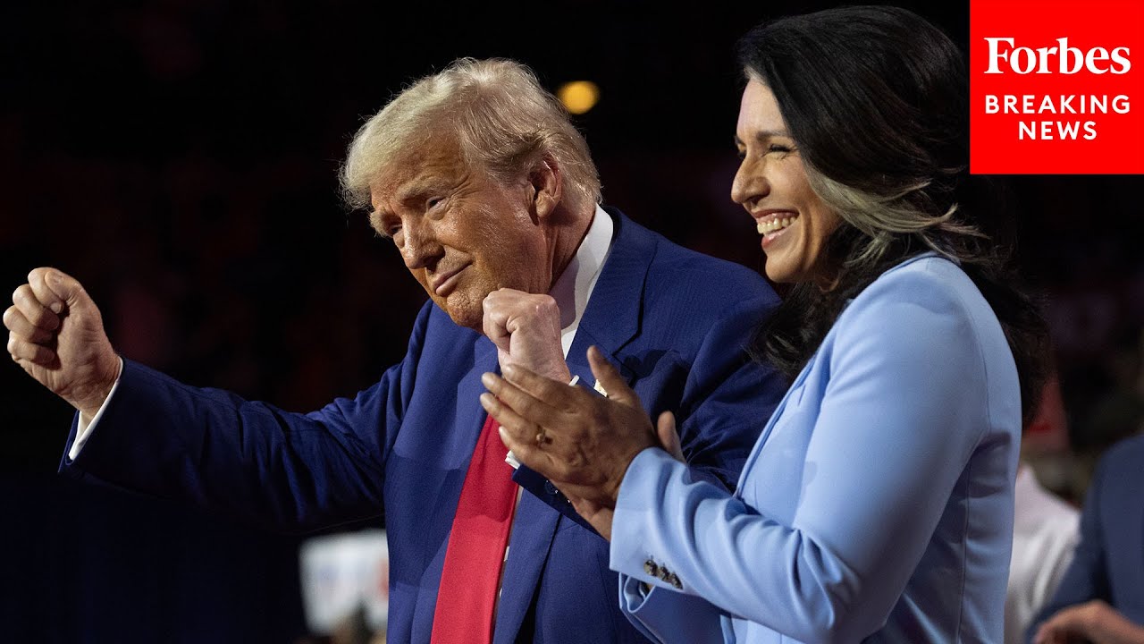 BREAKING NEWS: Tulsi Gabbard Wins Backing Of Key GOP Senator Susan ...