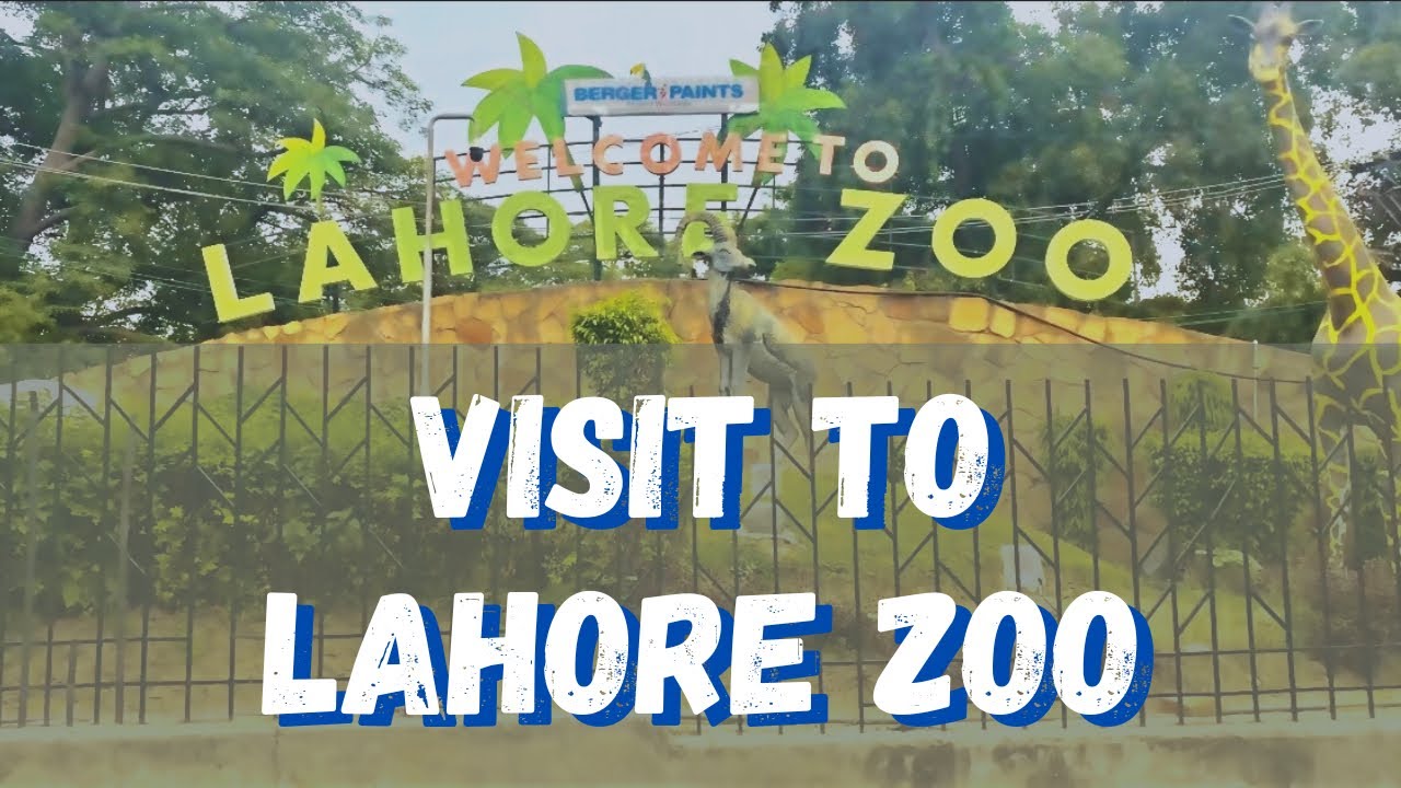 Visit to Lahore Zoo 😅 - YouTube