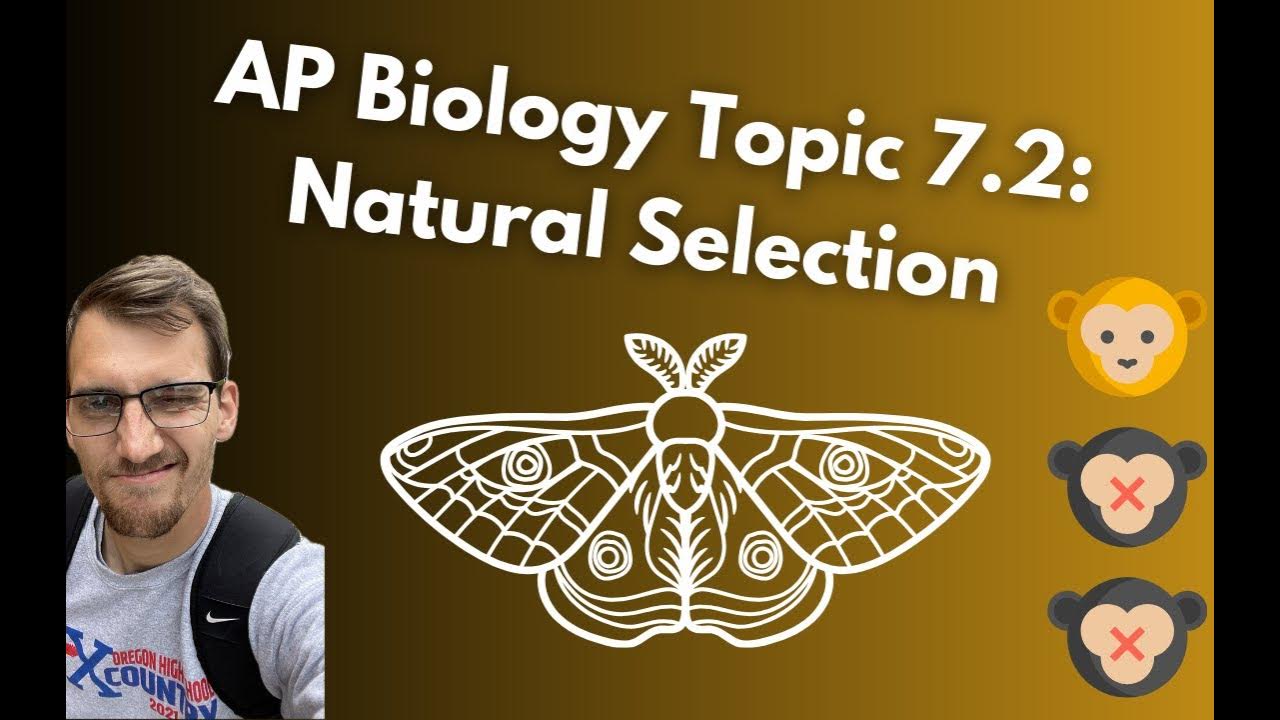 7.2 Natural Selection - AP Biology - YouTube