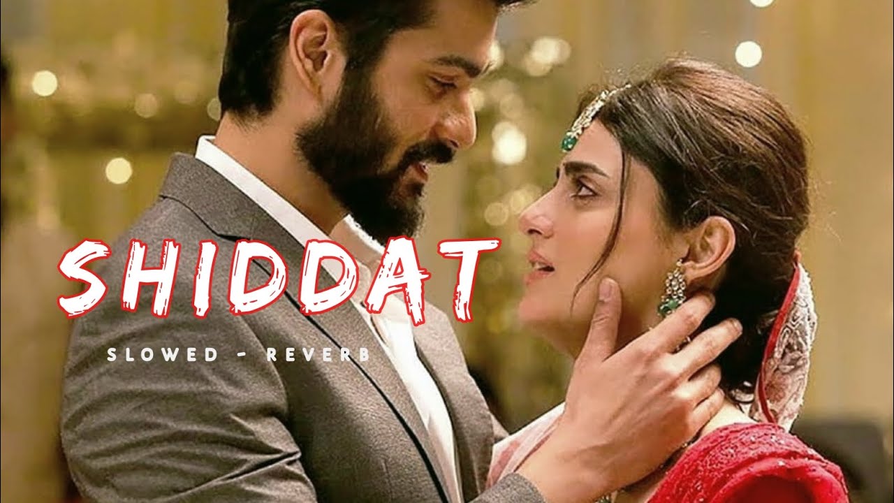 SHIDDAT Title Track {Slowed~Reverb} | Sunny Kaushal,Radhika Madan,Mohit ...