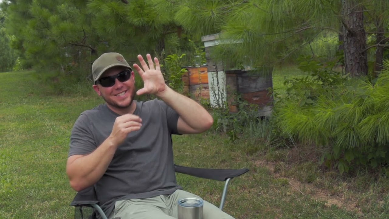 Treatment Free & Host Resistance (Cory Stevens Interview) - YouTube