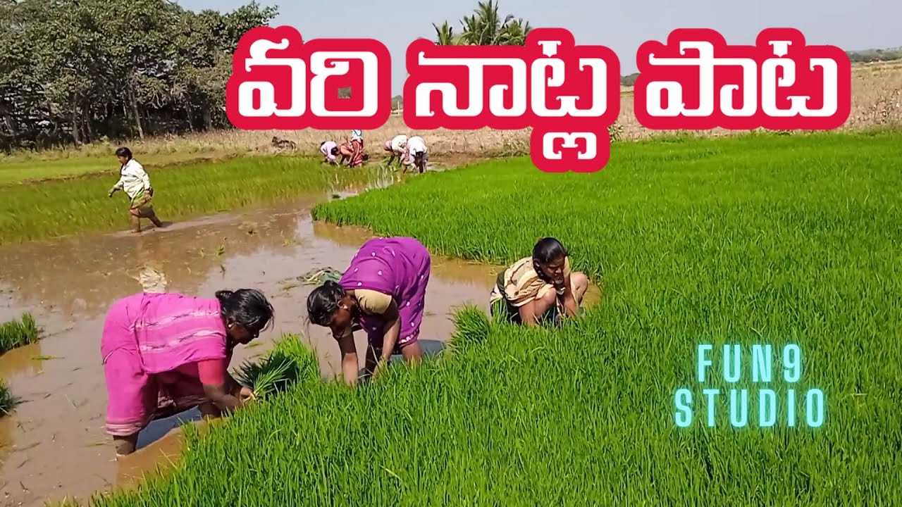 Vari Natlu songs in Village - YouTube