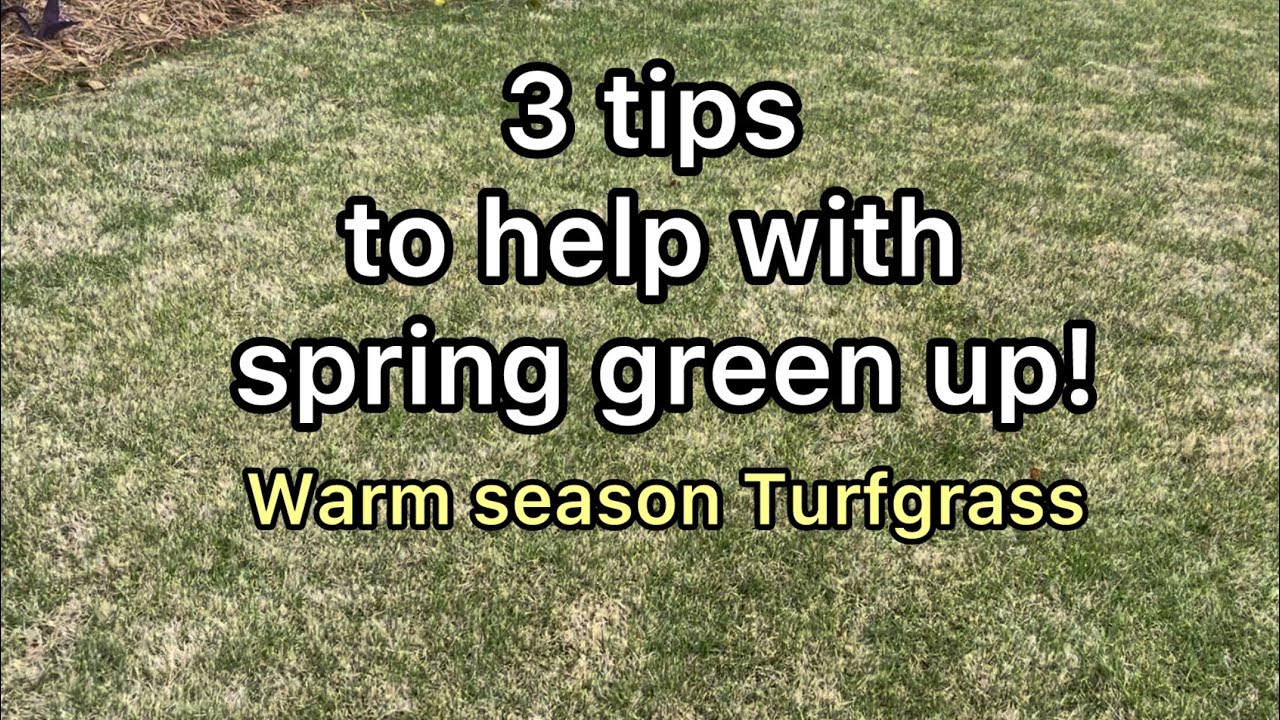 3 tips to help with spring green up - YouTube