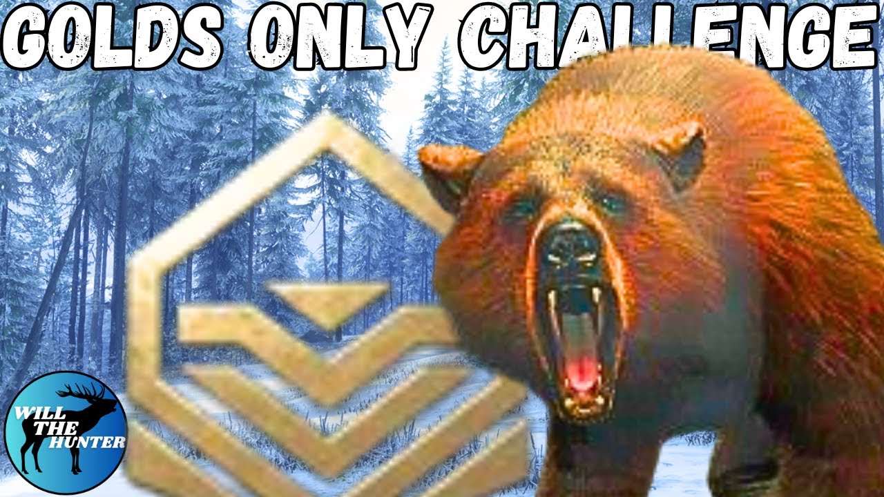 Golds Only Challenge: Hunting A Gold Of Every Species On Medved Taiga ...