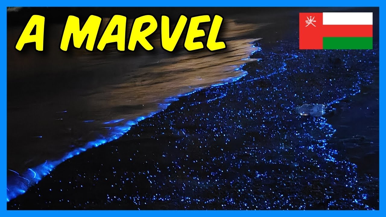 Secret Bioluminescence Beach in Oman 🇴🇲 One of Nature's Wonders - YouTube