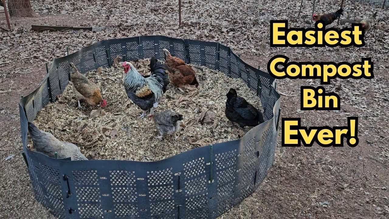 Unlock the power of chickens for Amazing Composting! - YouTube