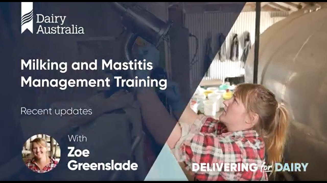 Milking and Mastitis Management - YouTube