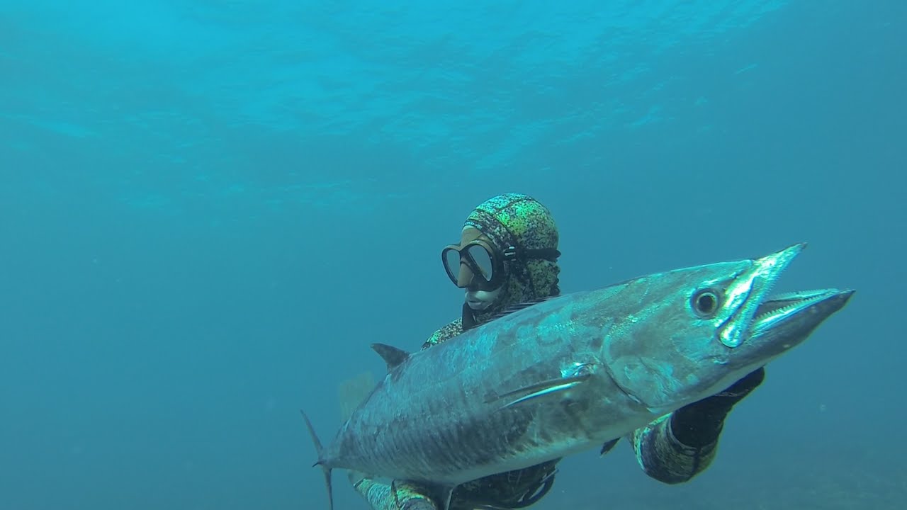 Freedive Spearfishing Australia - Immersions - YouTube