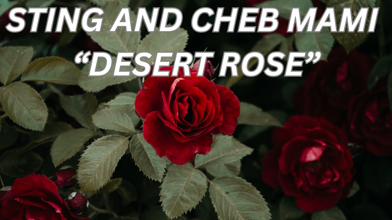 STING AND CHEB MAMI “DESERT ROSE”. - YouTube