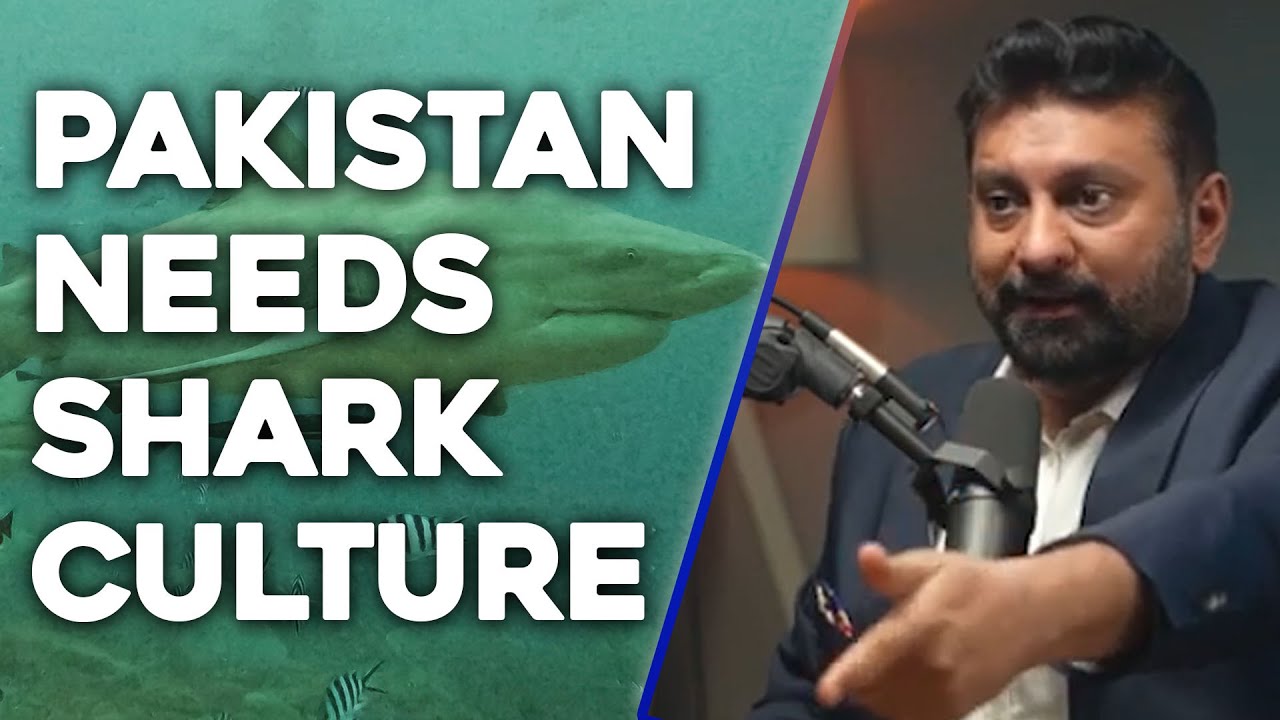 Shark Culture in Pakistan: Transforming the Entrepreneurial Landscape ...