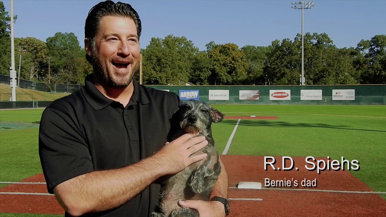 CARMA- Saving Animal Lives - YouTube